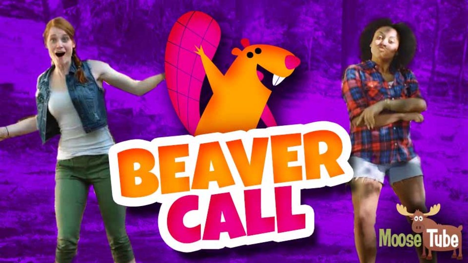 GoNoodle Silly Sing Alongs