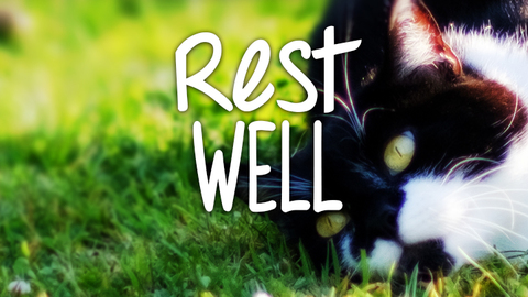 GoNoodle | Rest Well: Sleep Tracker
