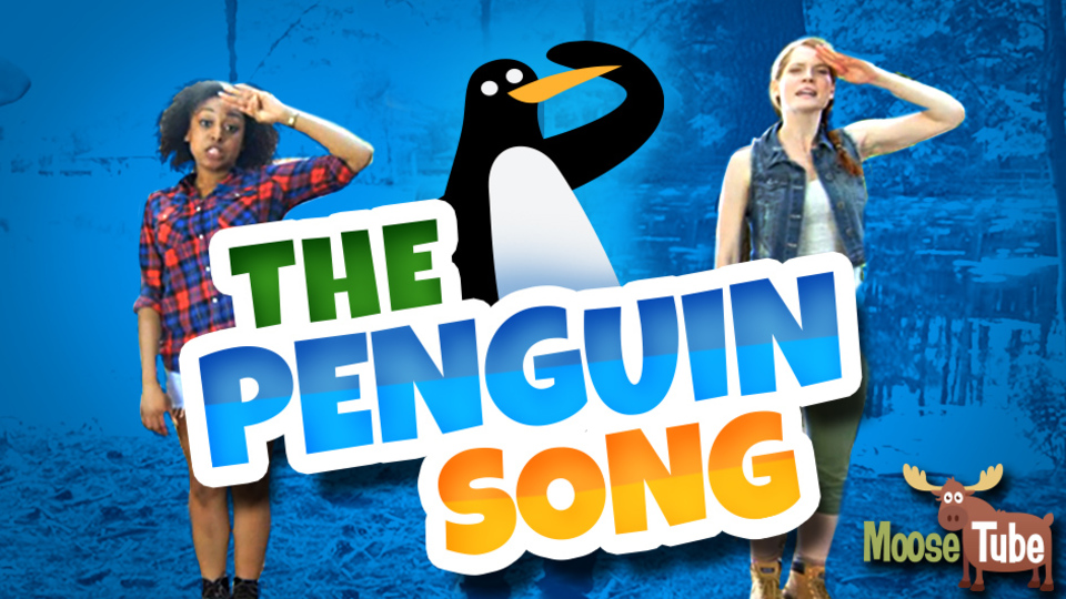GoNoodle | Learn More About Penguins