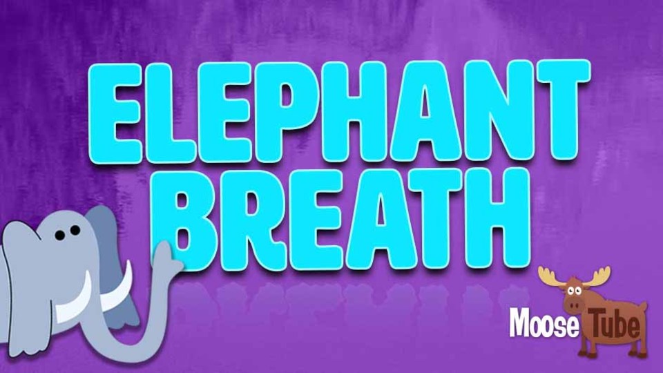 GoNoodle Find the Different Elephant