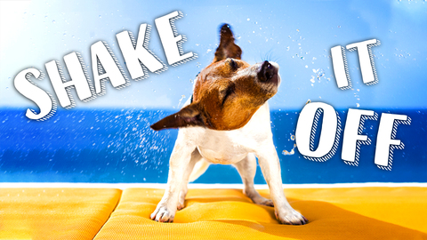 Shake It Off - GoNoodle